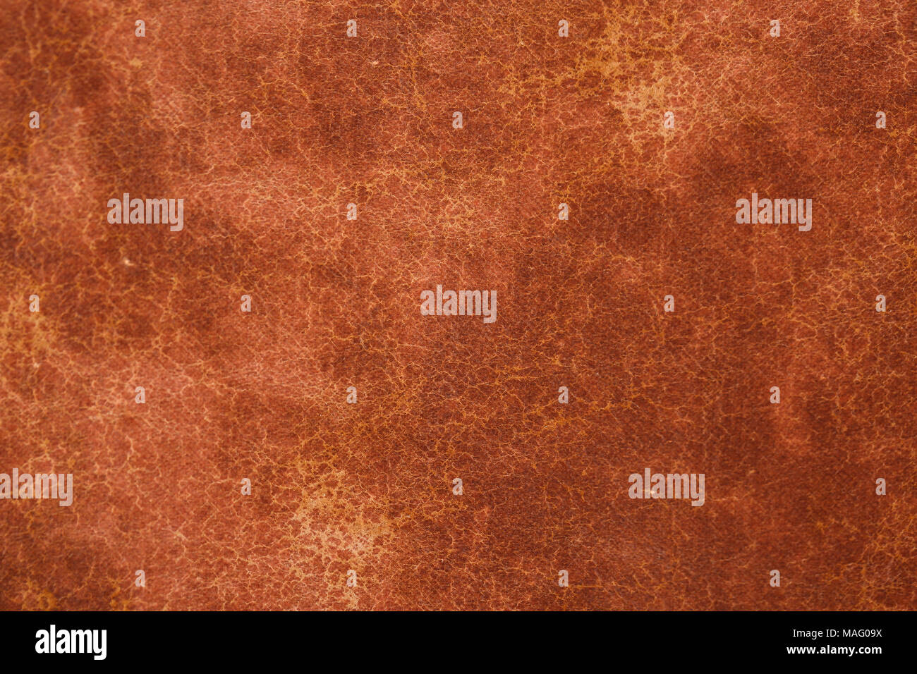 Various microscopic images, the surface of a particular object ...