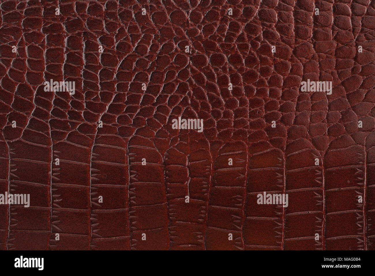 Various microscopic images, the surface of a particular object ...