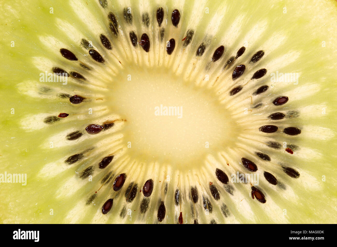 Various microscopic images, the surface of a particular object ...