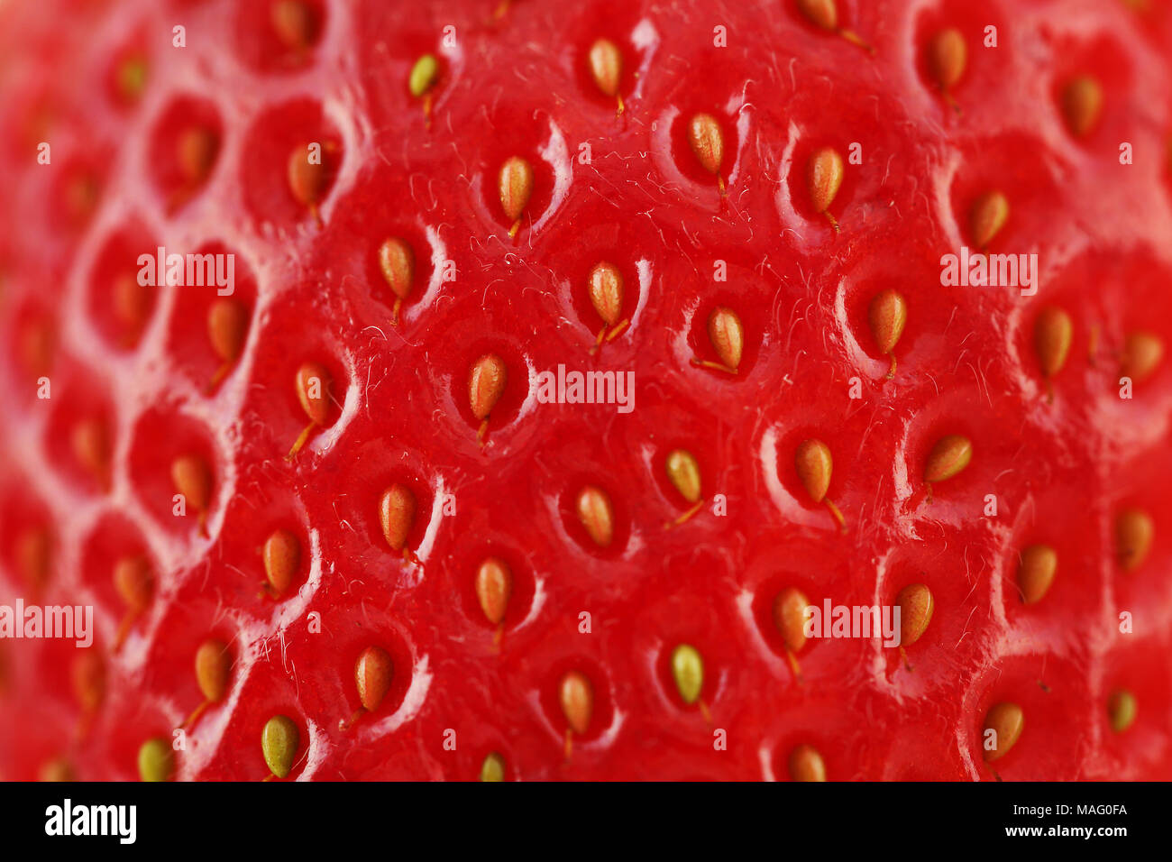 Various microscopic images, the surface of a particular object ...