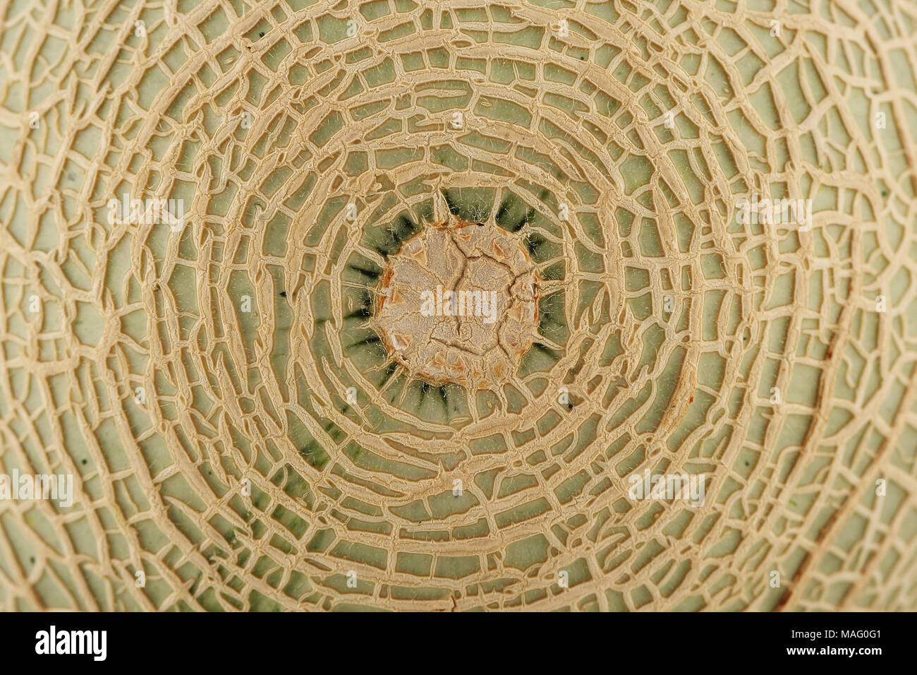 Various microscopic images, the surface of a particular object ...