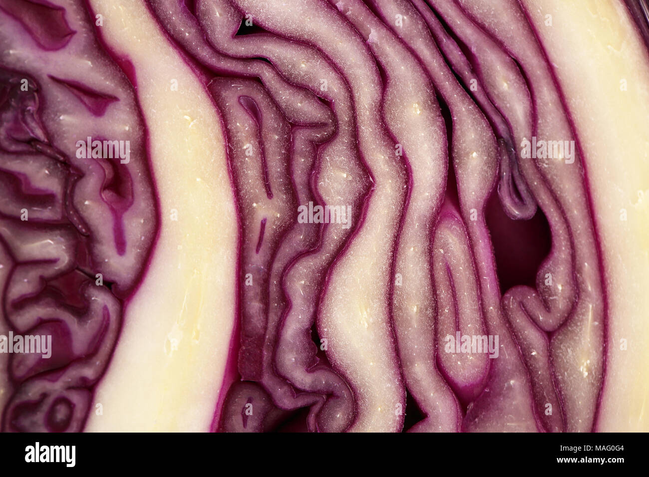 Various microscopic images, the surface of a particular object ...