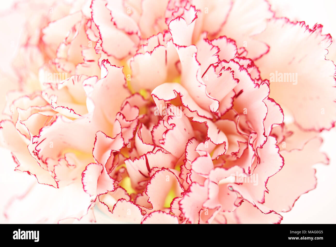 Various microscopic images, the surface of a particular object ...