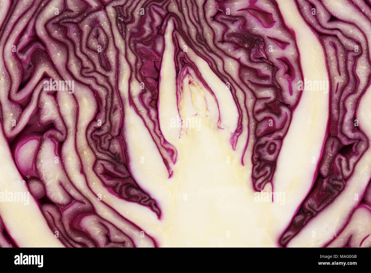 Various microscopic images, the surface of a particular object ...