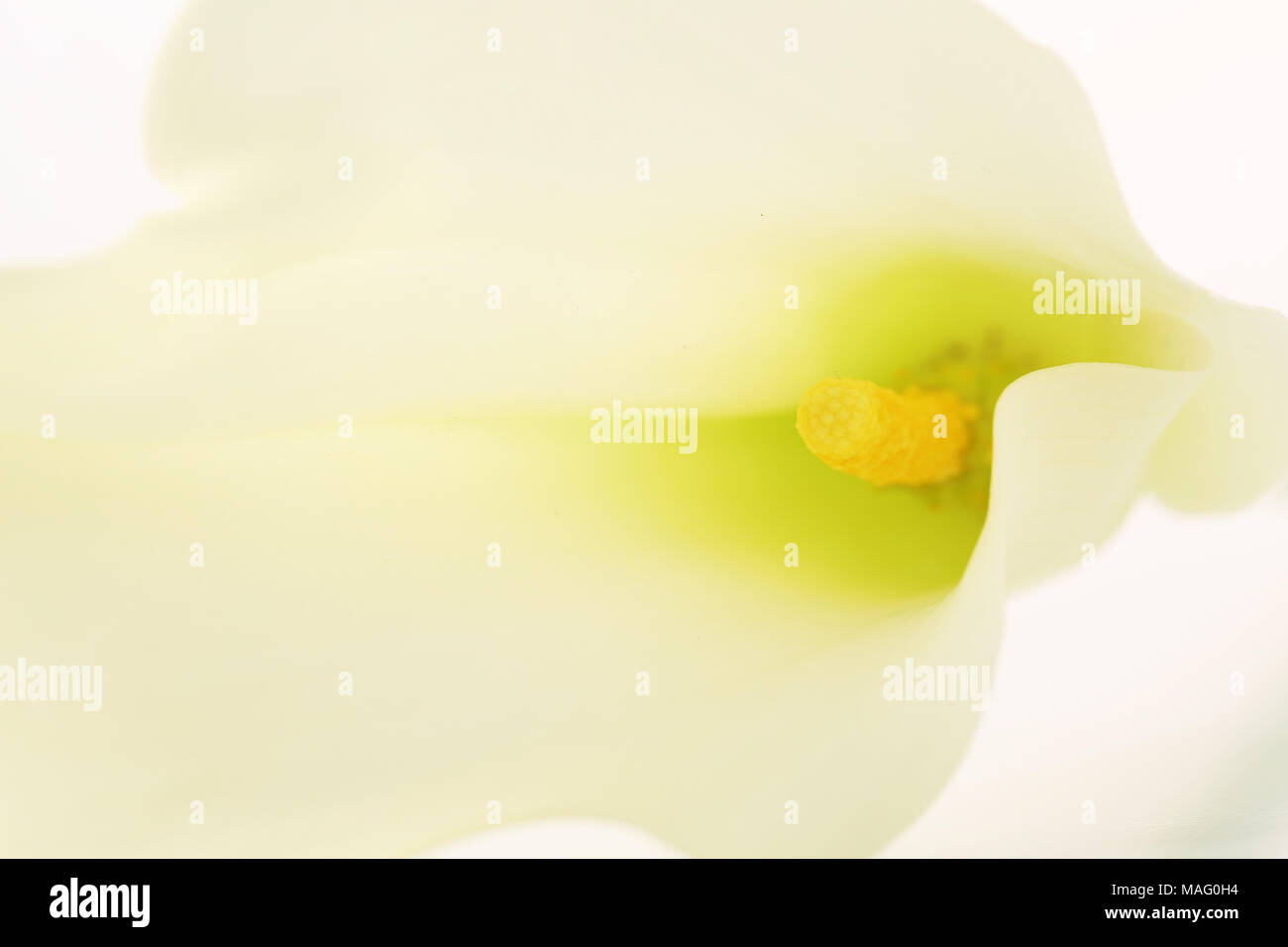 Various microscopic images, the surface of a particular object ...