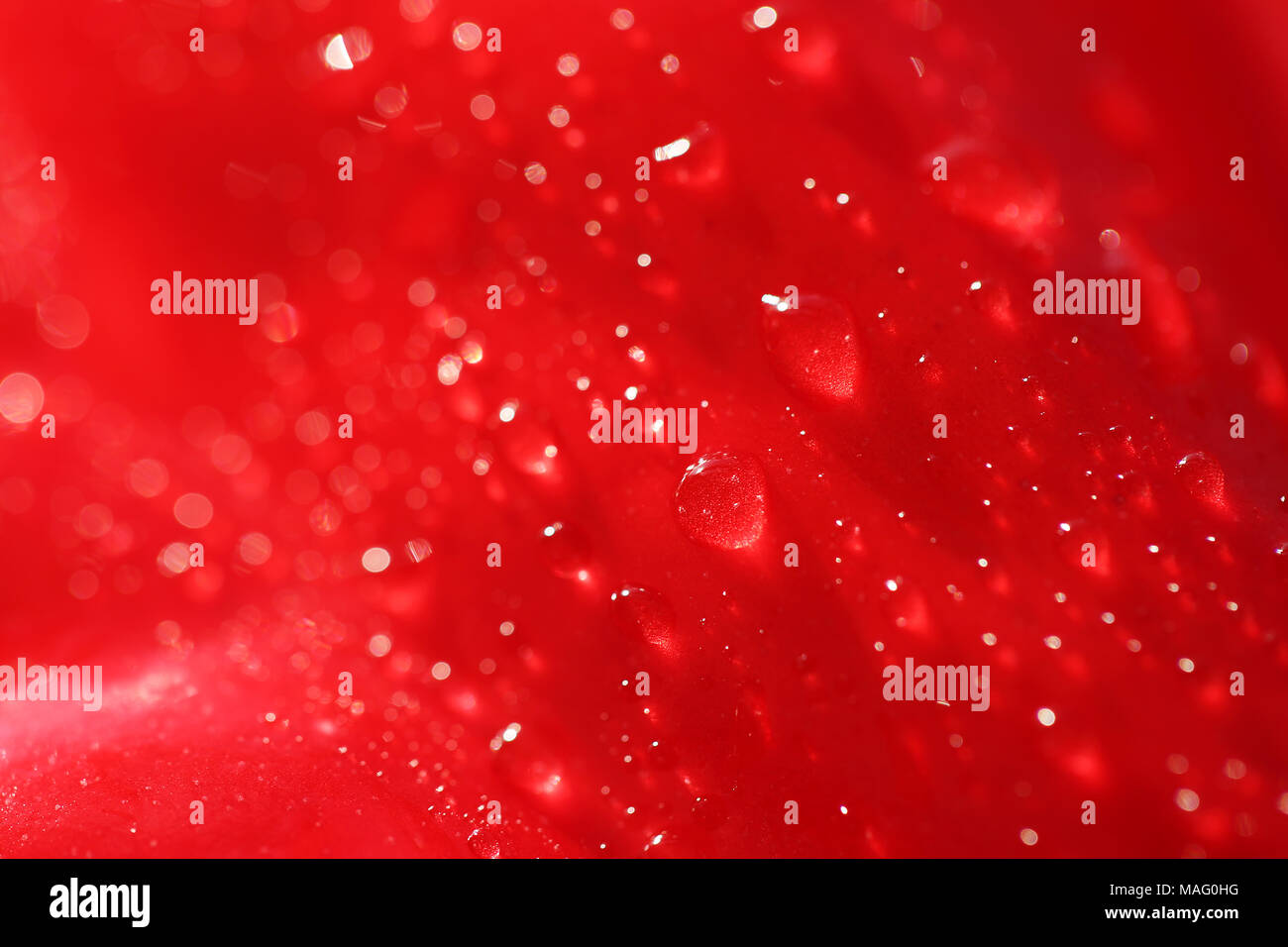 Various microscopic images, the surface of a particular object ...