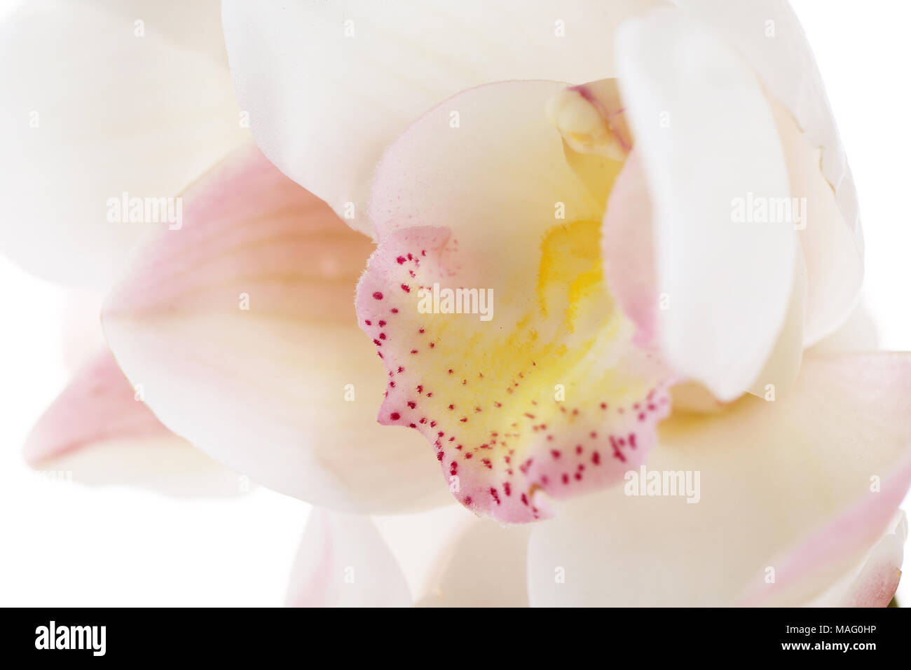 Various microscopic images, the surface of a particular object ...