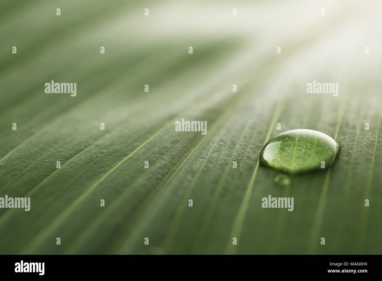 Various microscopic images, the surface of a particular object ...