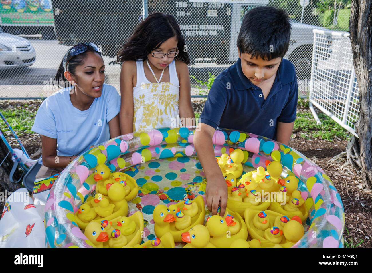Flamingo and duck hi-res stock photography and images - Alamy