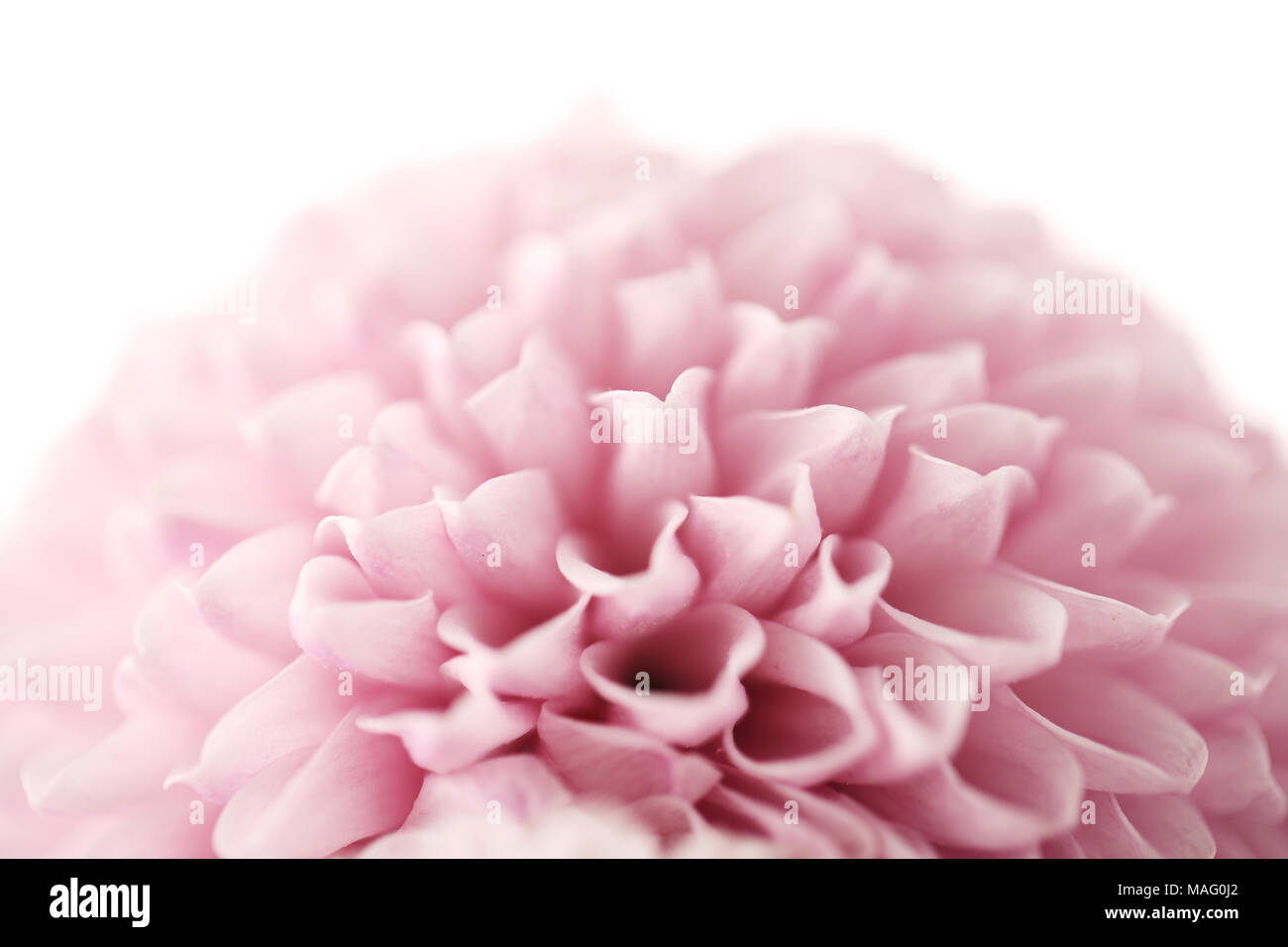 Various microscopic images, the surface of a particular object ...