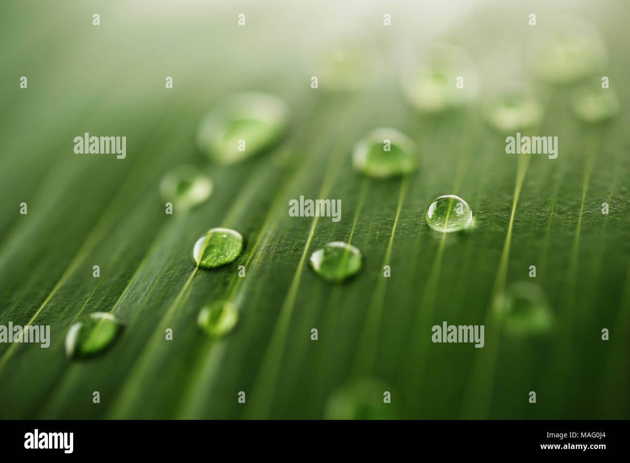 Various microscopic images, the surface of a particular object ...