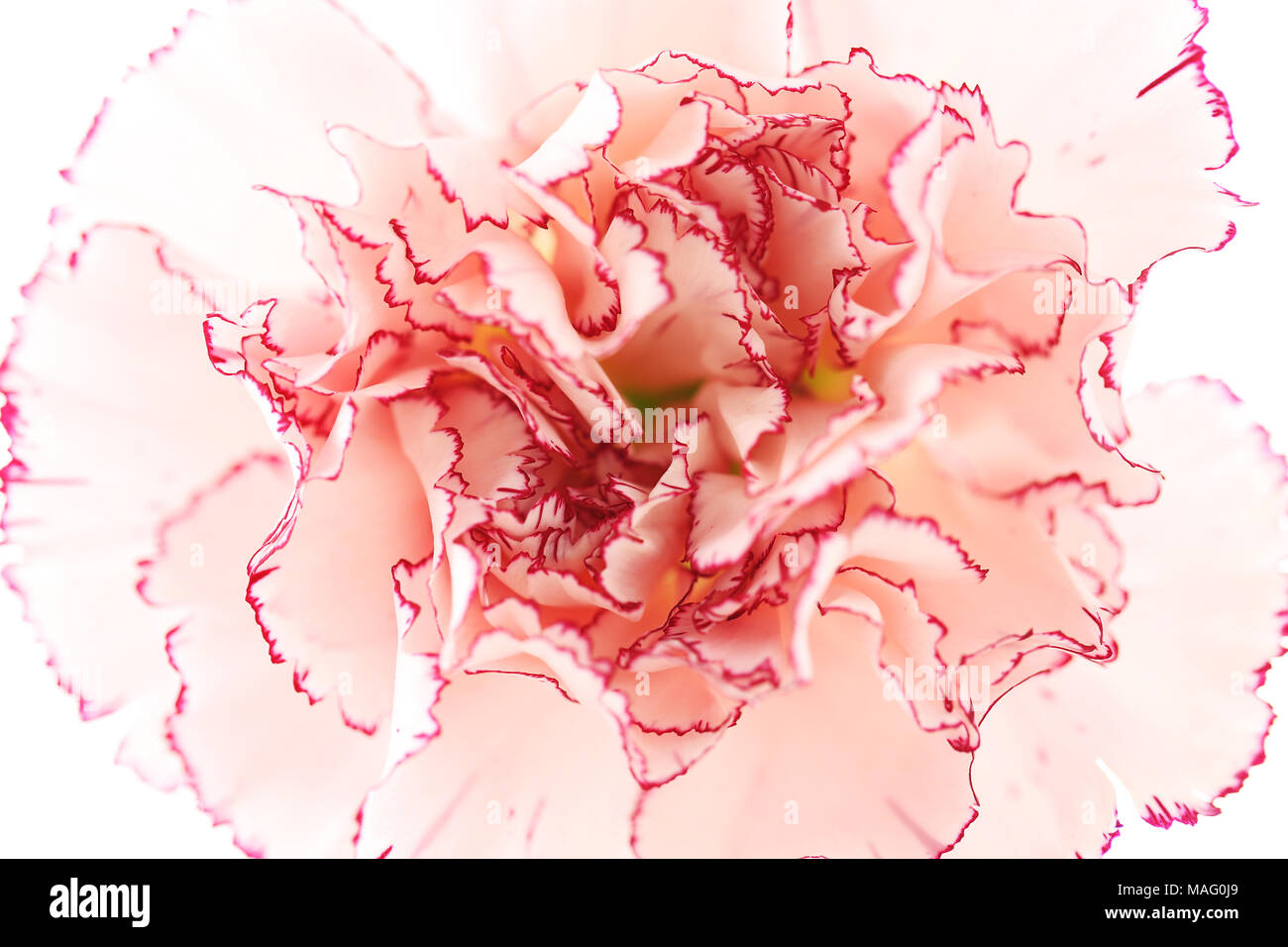 Various microscopic images, the surface of a particular object ...