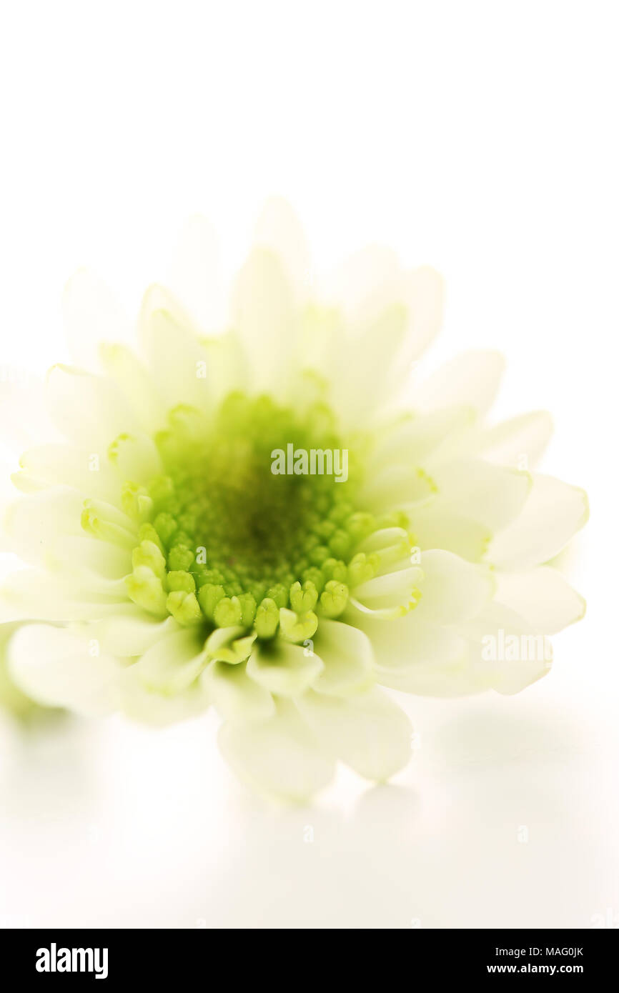 Various microscopic images, the surface of a particular object ...