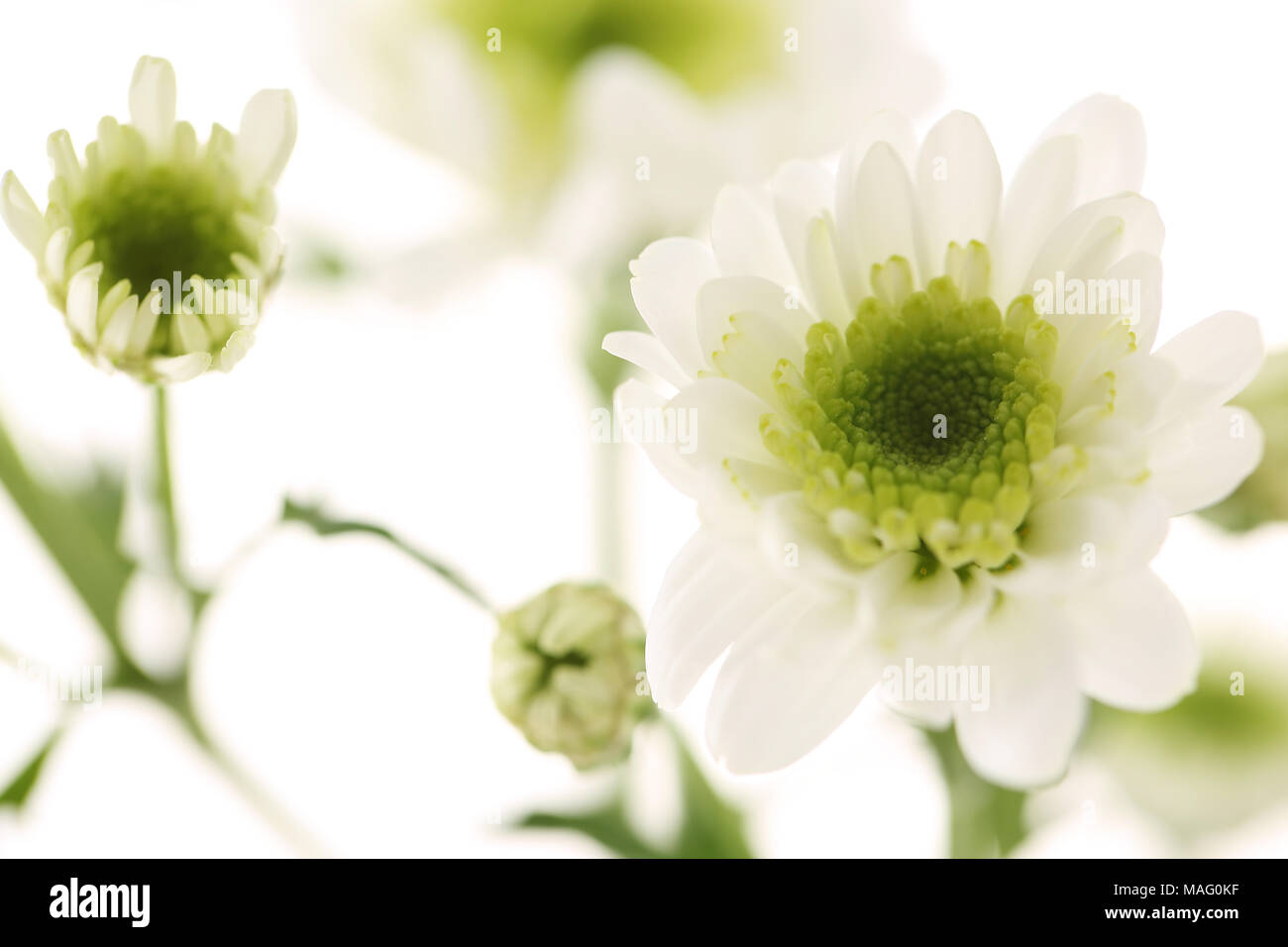 Various microscopic images, the surface of a particular object ...