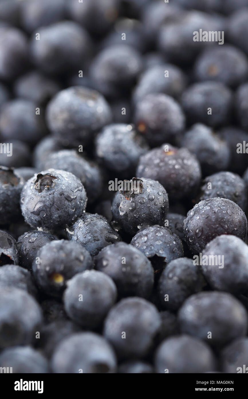 Various microscopic images, the surface of a particular object ...