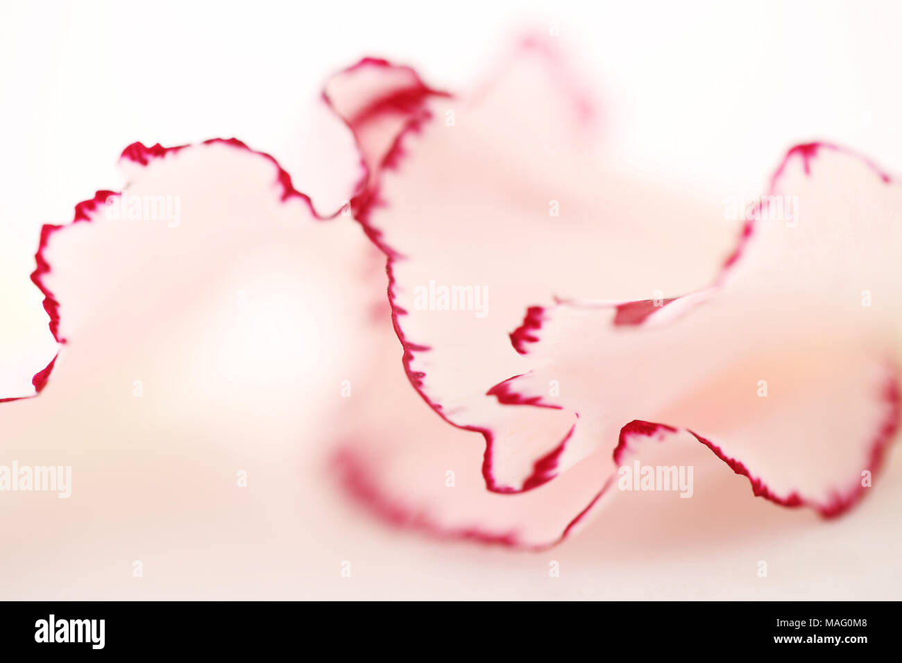 Various microscopic images, the surface of a particular object ...