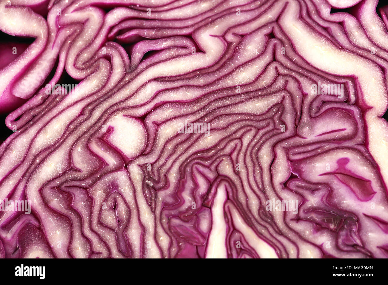Various microscopic images, the surface of a particular object ...