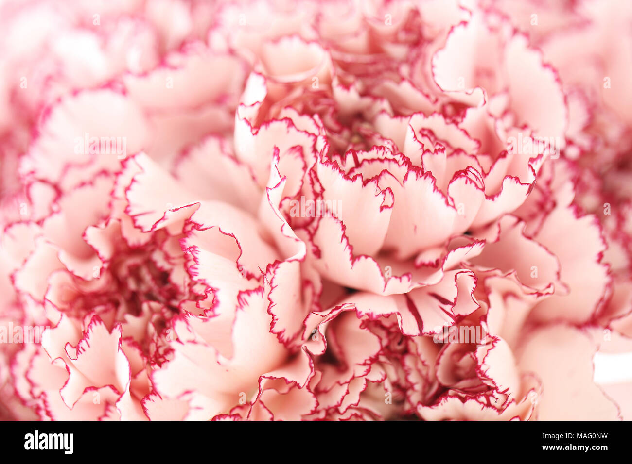 Various microscopic images, the surface of a particular object ...