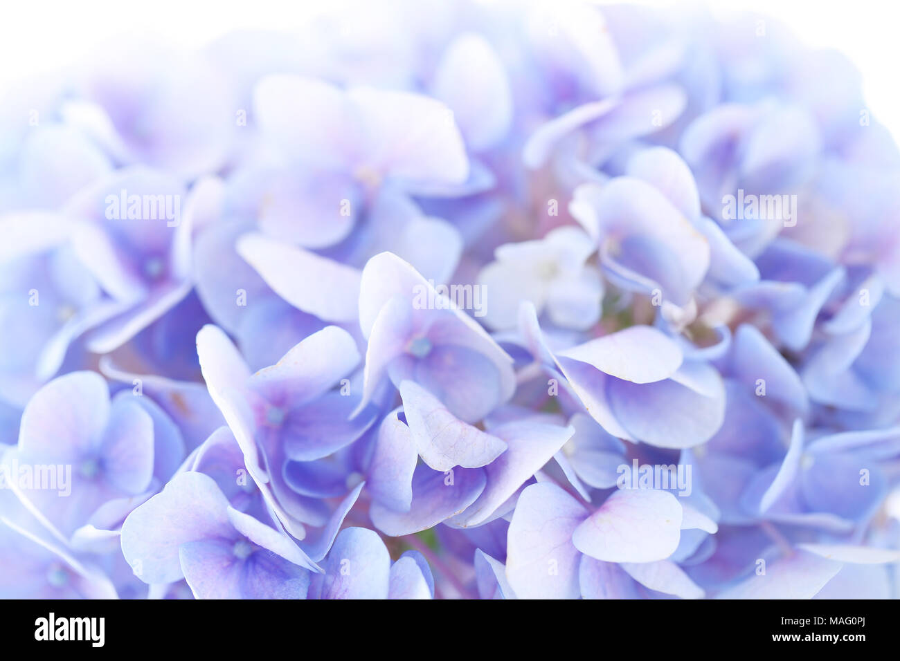 Various microscopic images, the surface of a particular object ...