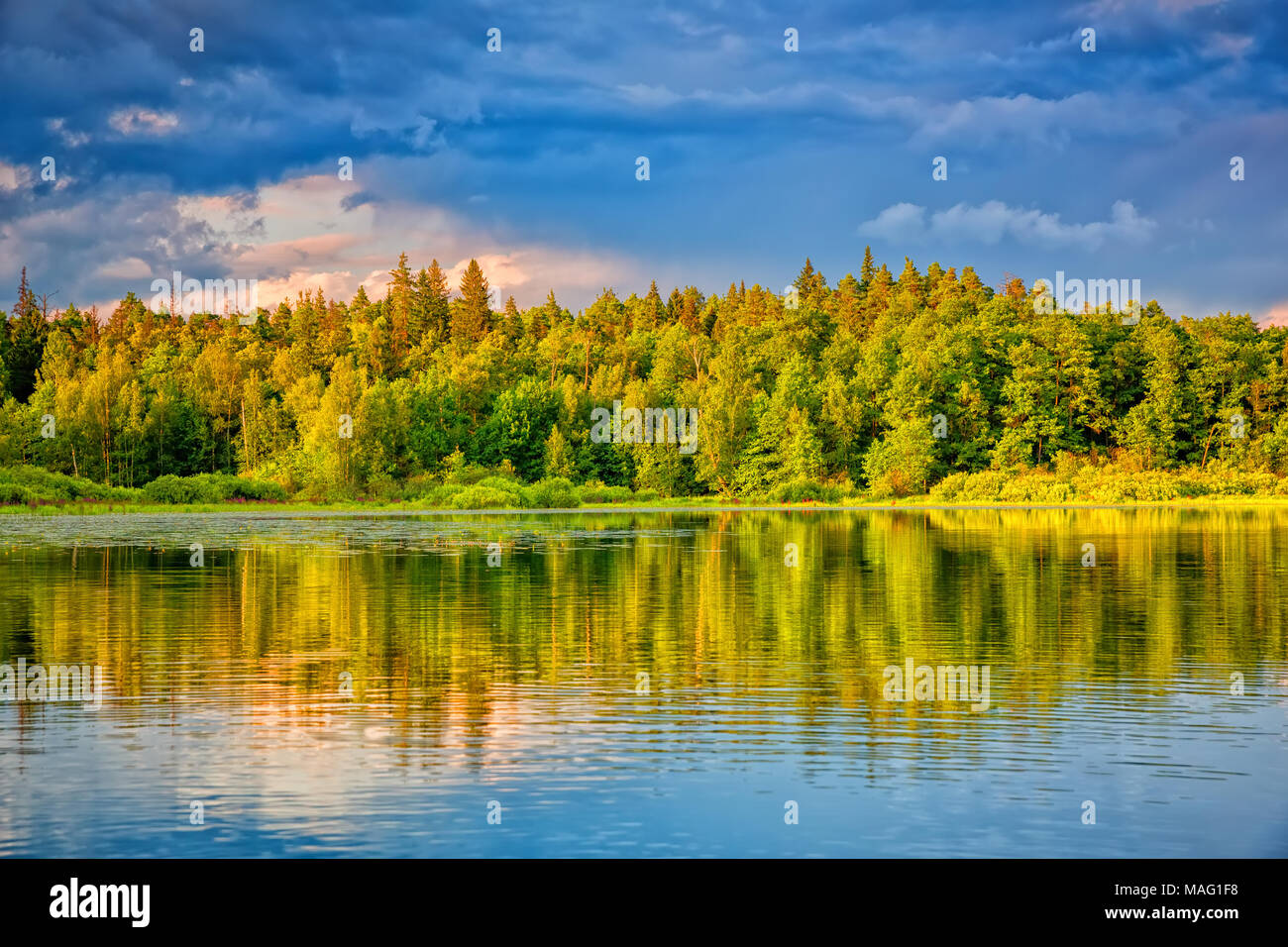 Sunset on forest hi-res stock photography and images - Alamy