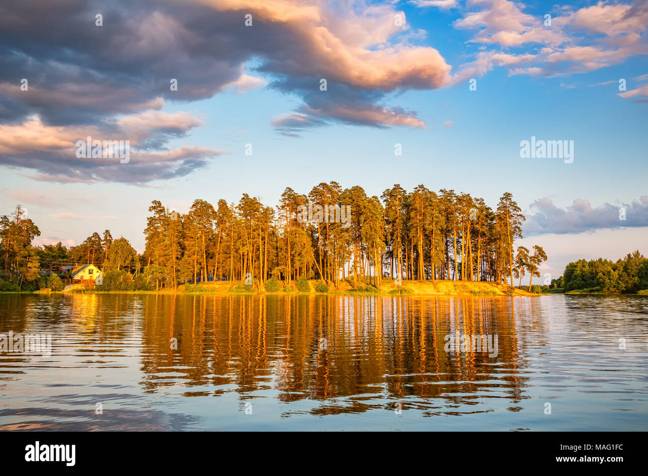 Green forest lake shore sunny hi-res stock photography and images - Alamy