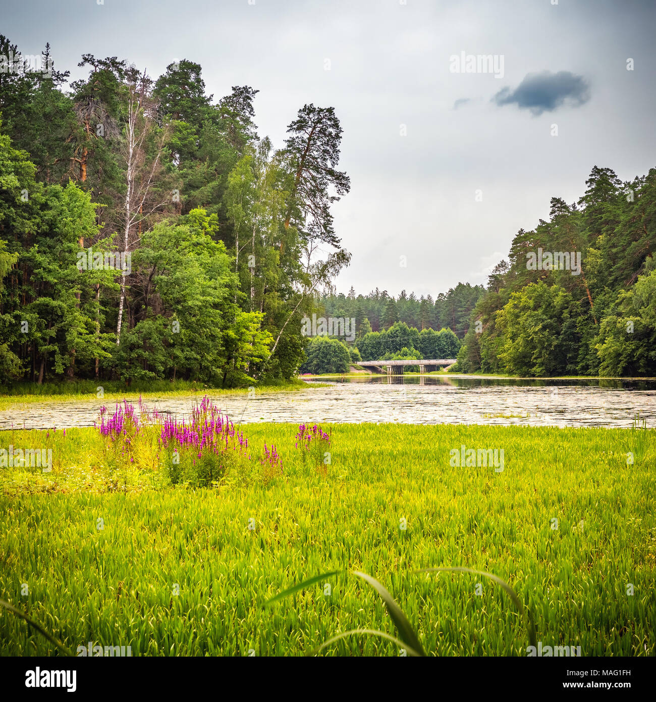 Red flower near lake hi-res stock photography and images - Alamy