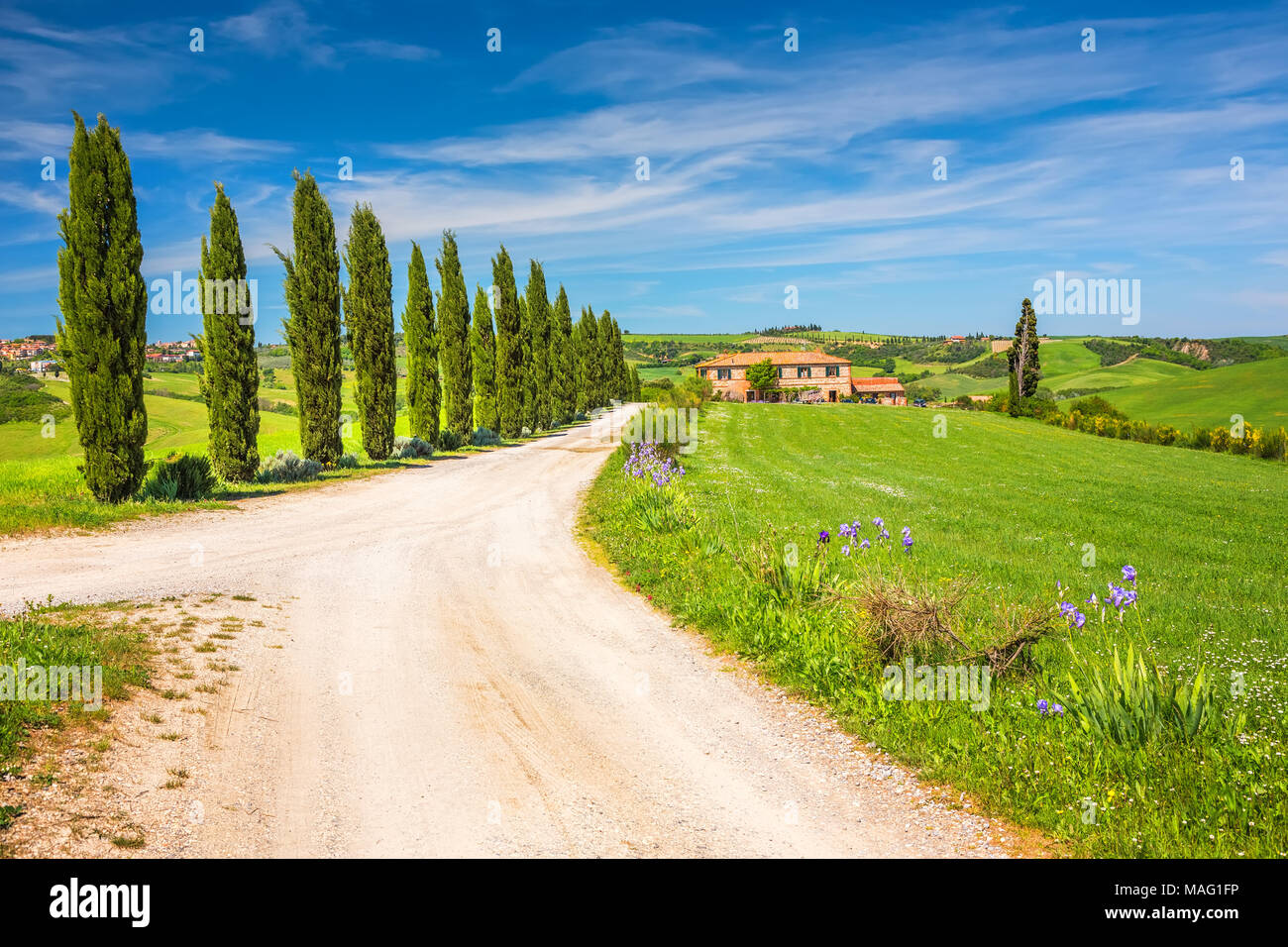 Tuscany countryside hi-res stock photography and images - Alamy