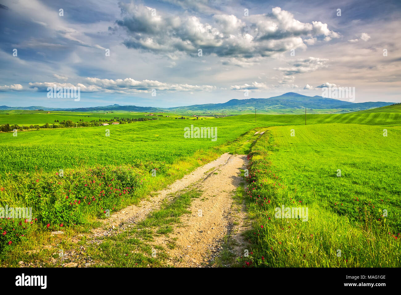 Tuscany landscape at spring Stock Photo - Alamy