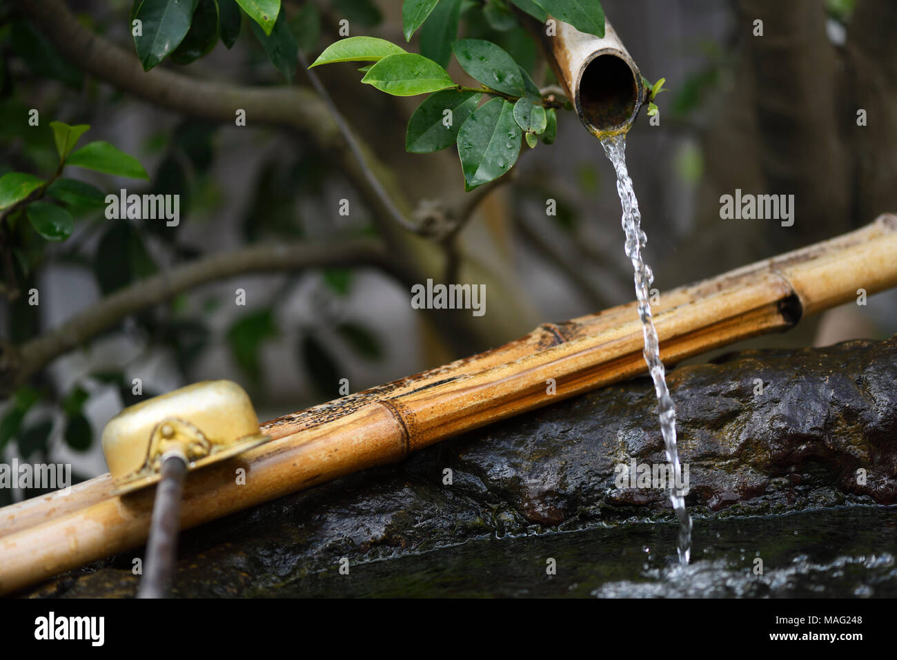 Japanese temple basin hi-res stock photography and images - Alamy