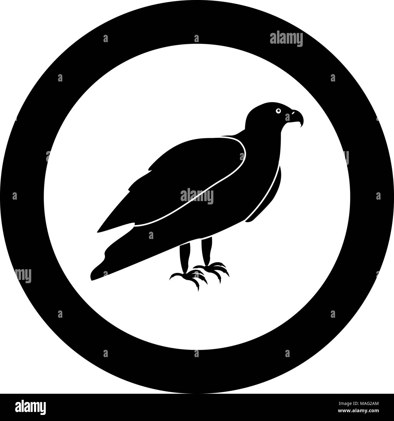 Hawk i Black and White Stock Photos & Images - Alamy