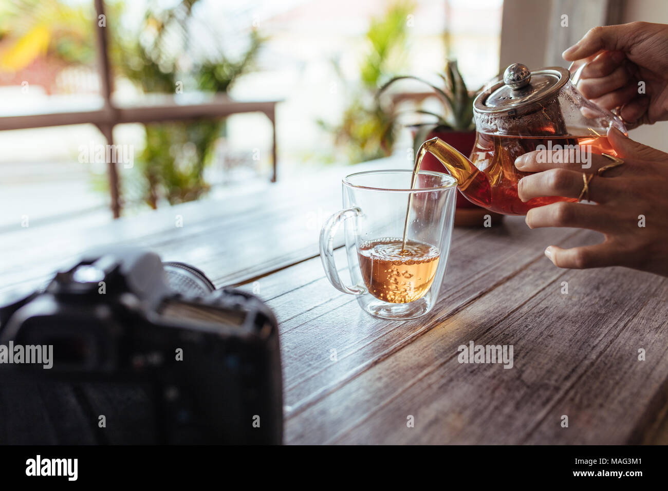 Close up of a woman pouring tea in a cup from a glass teapot. Woman ...