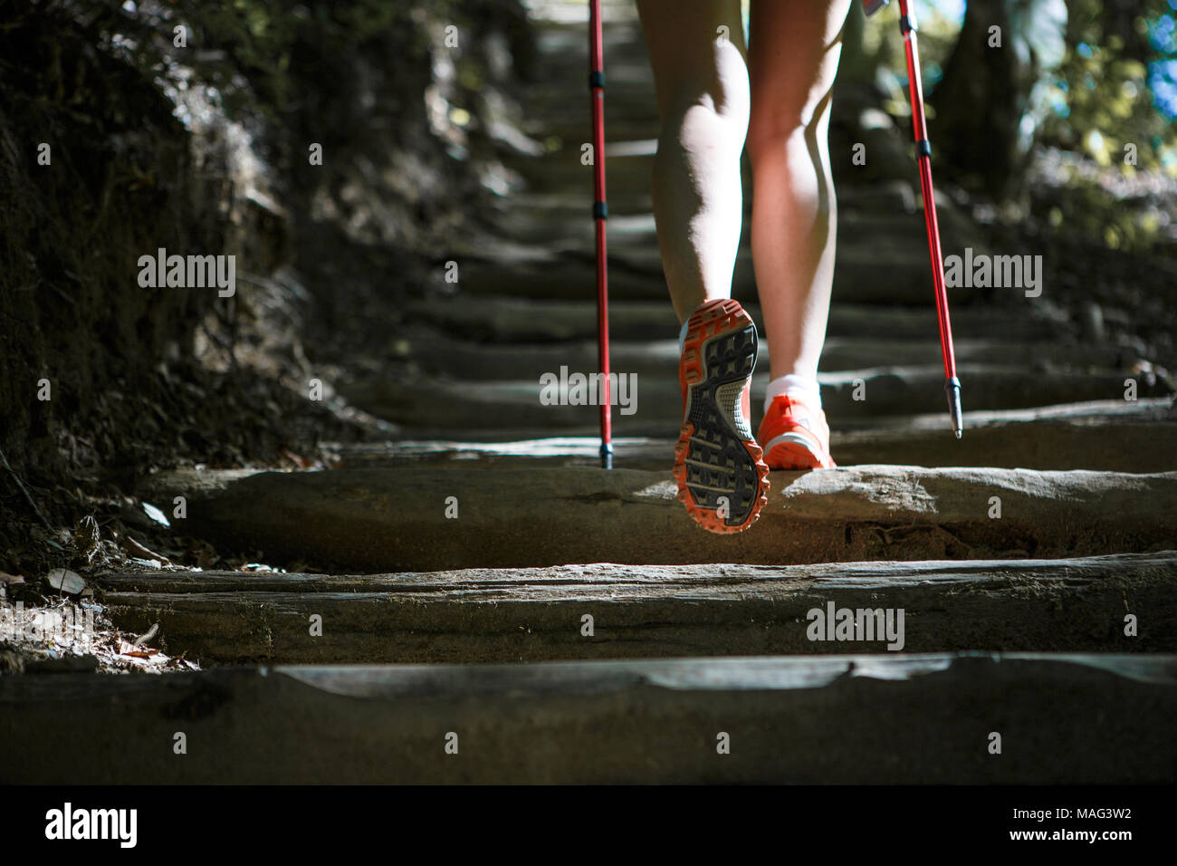 Woman walking sticks on forest hi-res stock photography and images - Alamy