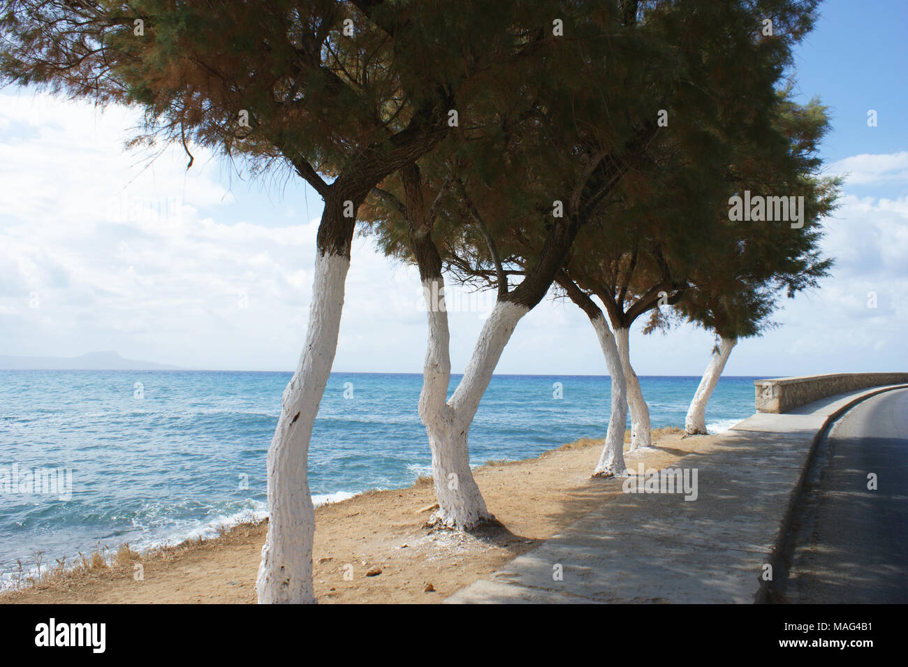 Trees on the sand beach, summer day in Greece in Crete, sea view Stock ...