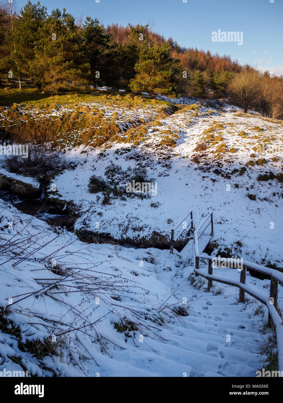 Spring landscape with the sun melting snow and thawed patches in forest ...