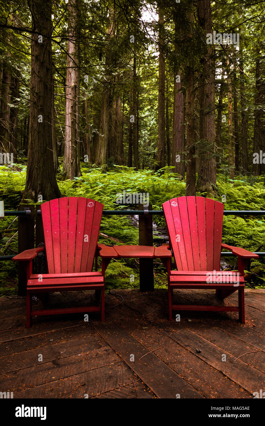 Two red chair in the rain forest in British Columbia, Canada Stock ...