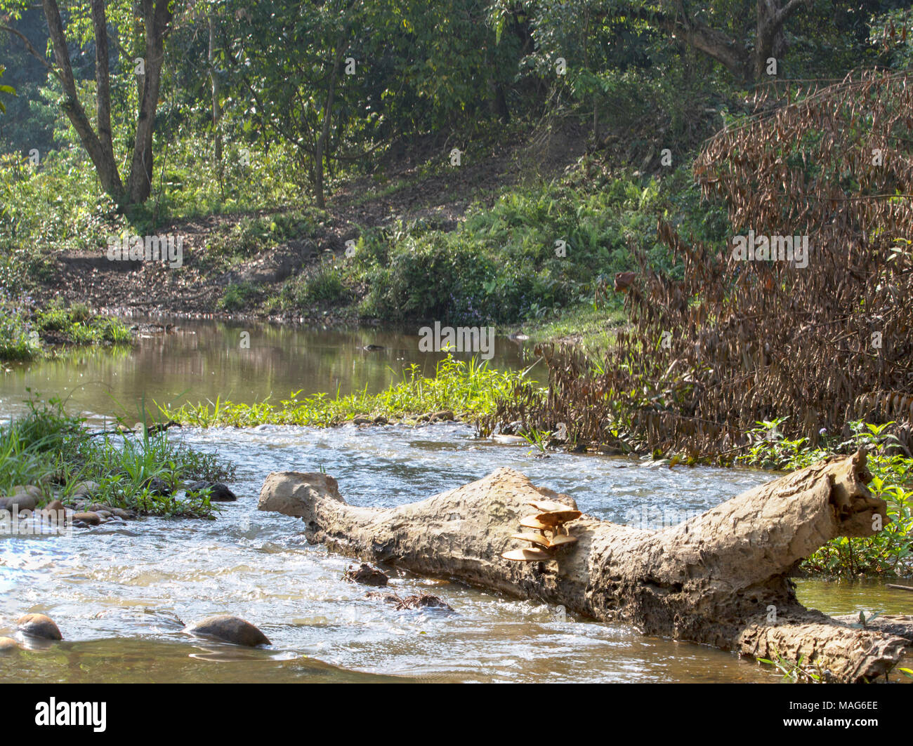 Bio pic hi-res stock photography and images - Alamy