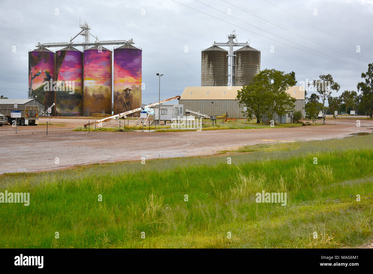 the silos at Thallon in queensland, Australia that have had murals ...