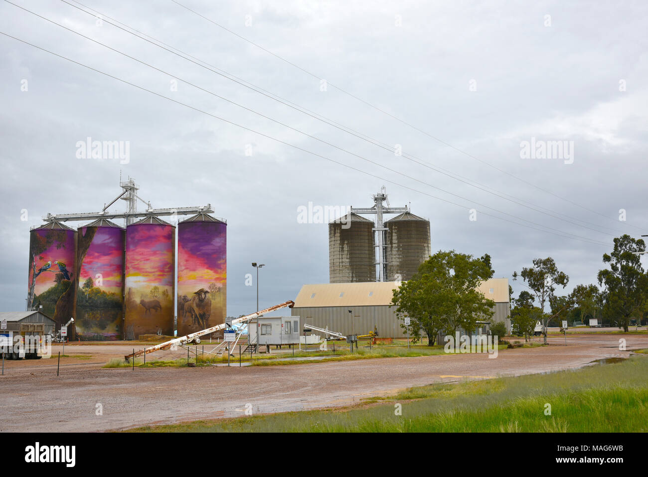 the silos at Thallon in queensland, Australia that have had murals ...