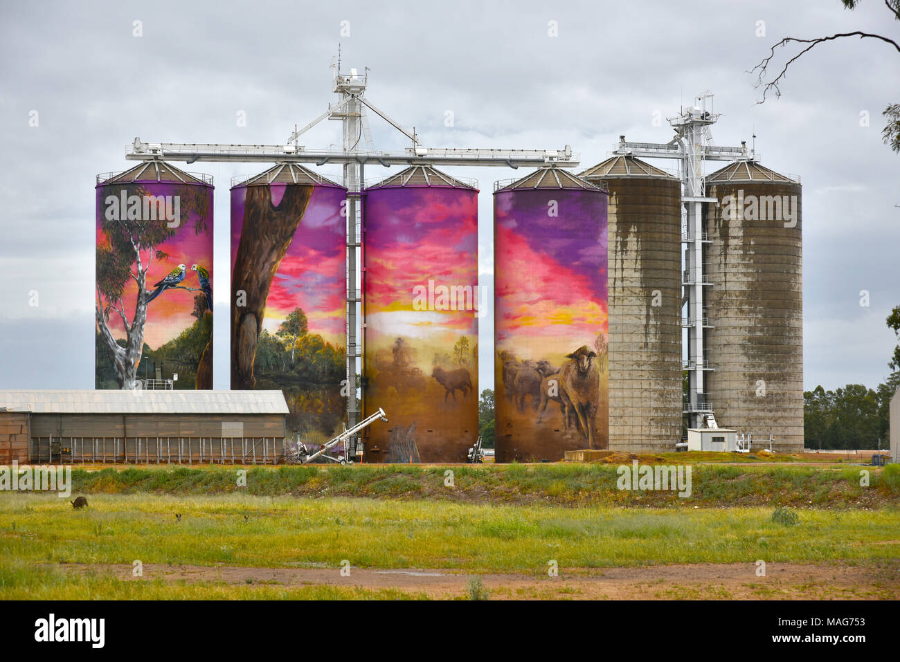the silos at Thallon in queensland, Australia that have had murals ...