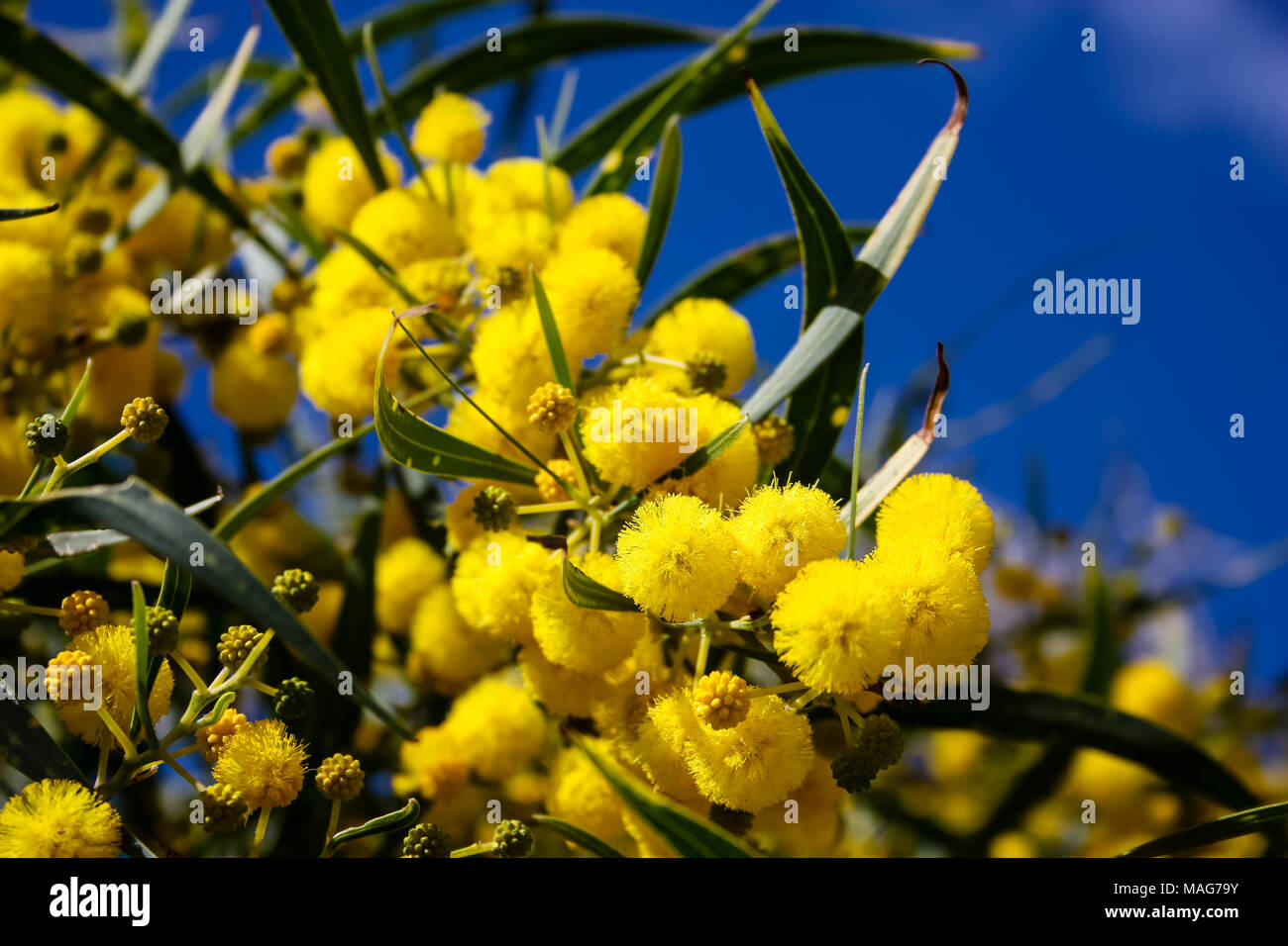 Nature and landscape around Jerusalem in Israel Landscape and nature at ...