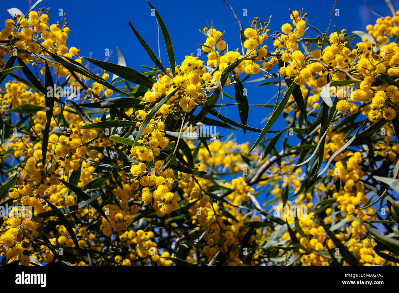 Nature and landscape around Jerusalem in Israel Landscape and nature at ...