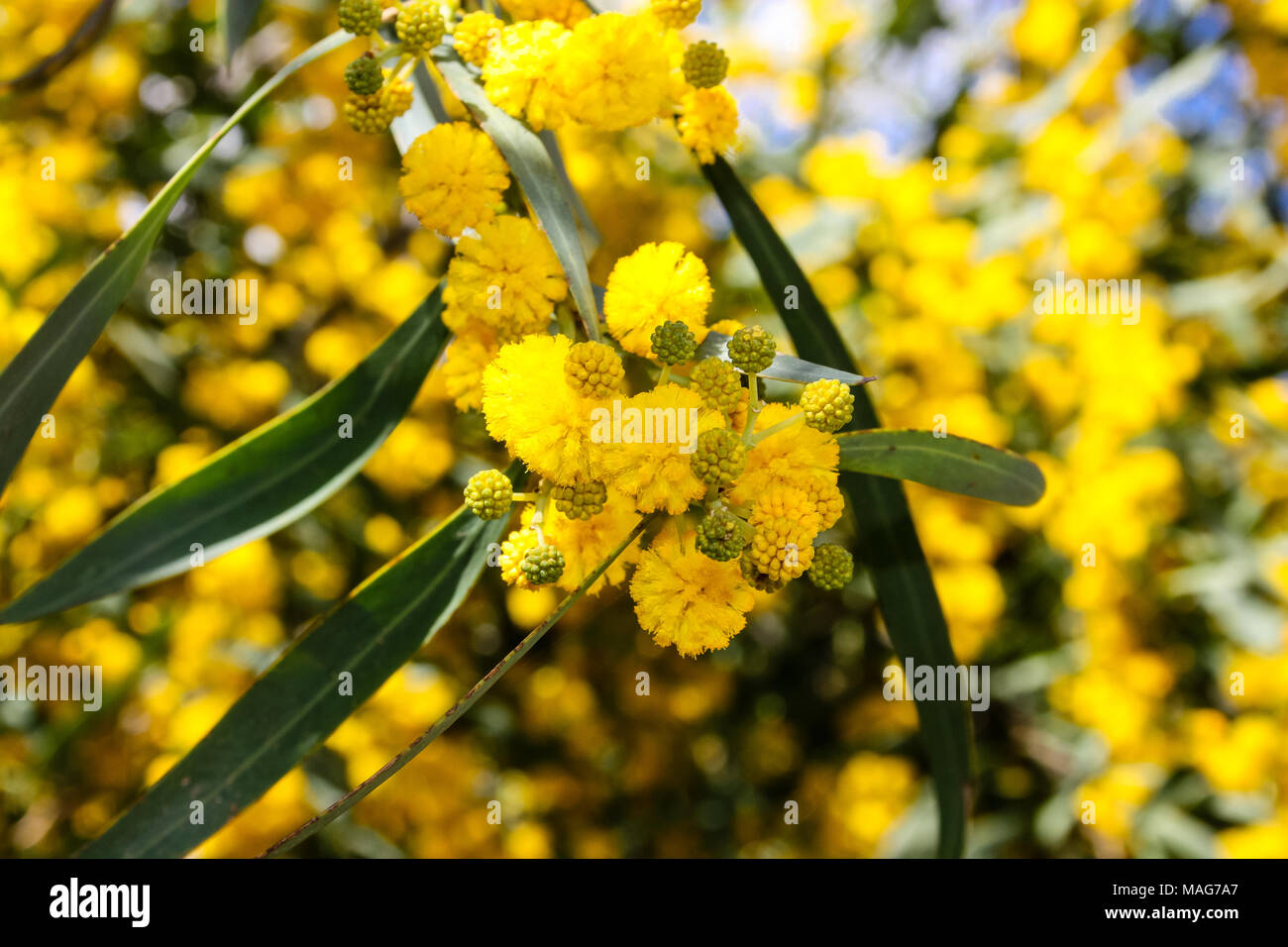 Nature and landscape around Jerusalem in Israel Landscape and nature at ...