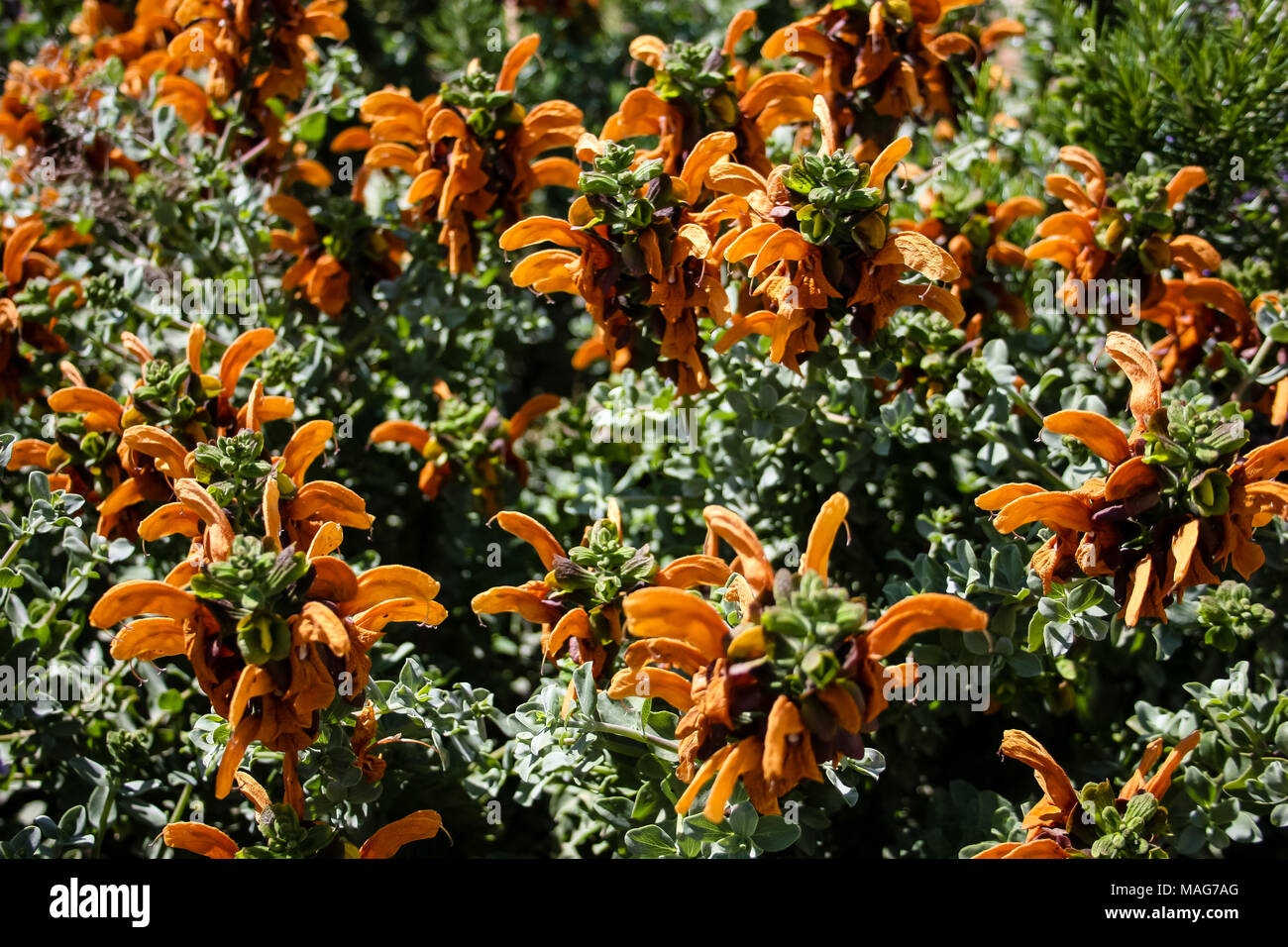 Nature and landscape around Jerusalem in Israel Landscape and nature at ...