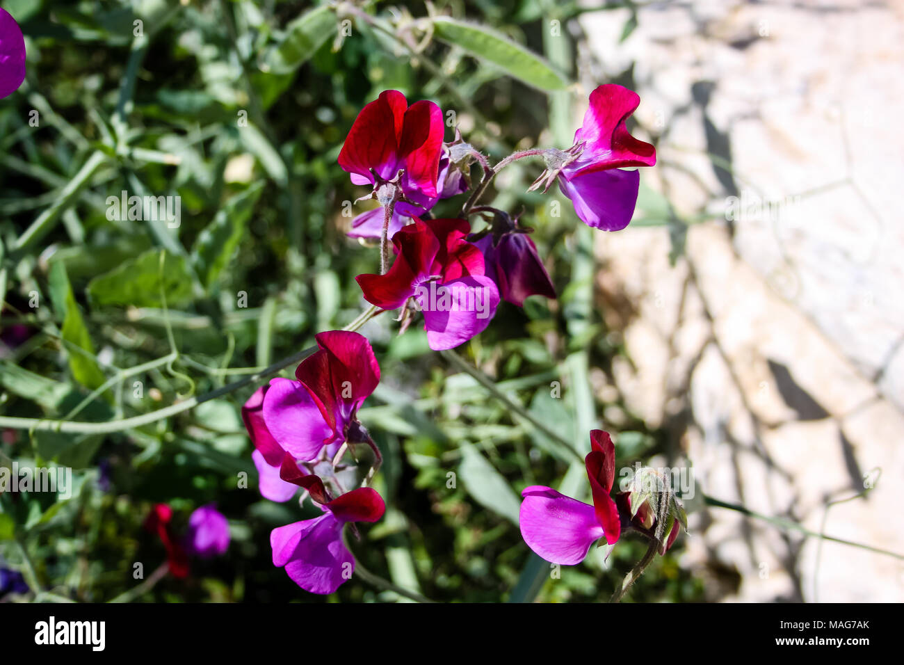 Nature and landscape around Jerusalem in Israel Landscape and nature at ...