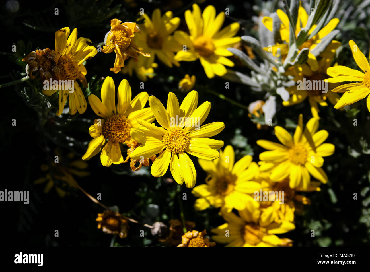 Nature and landscape around Jerusalem in Israel Landscape and nature at ...
