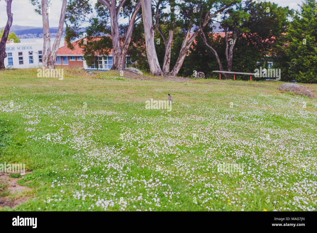 HOBART, AUSTRALIA - December 24th, 2013: School grounds, Taroona High ...