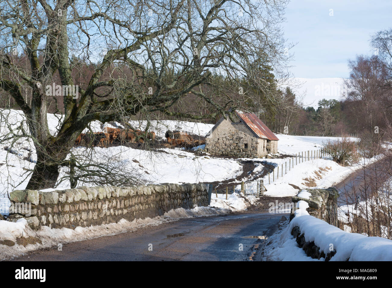 Agriculture farming royal hi-res stock photography and images - Alamy