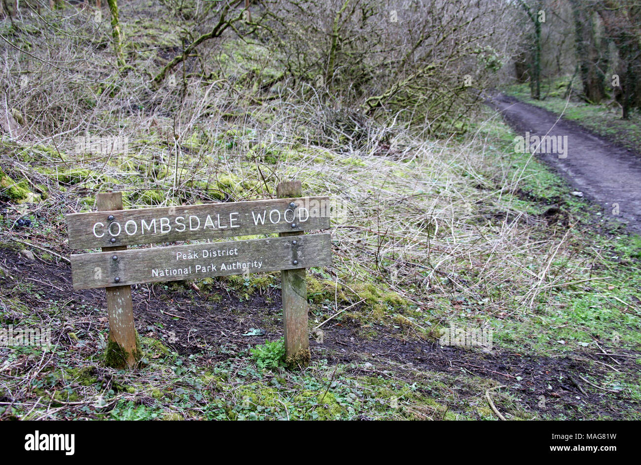 Coombs Dale Wood at Stoney Middleton in the Peak District National Park ...