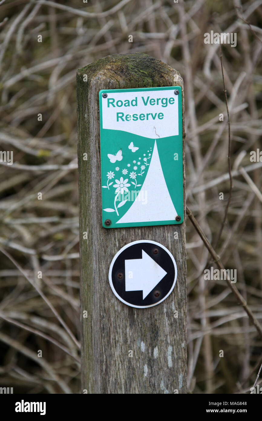 Roadside verge wildflower hi-res stock photography and images - Alamy
