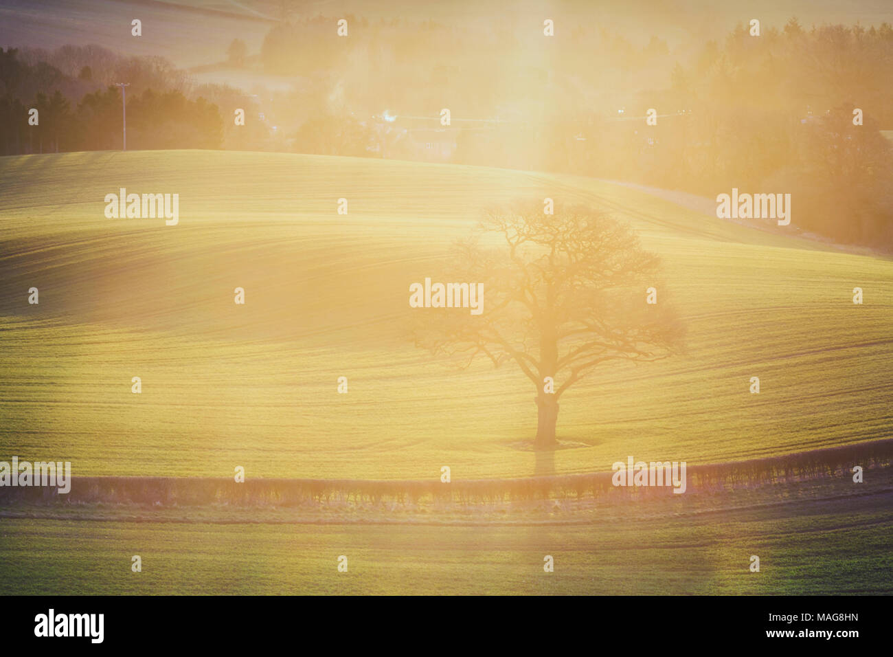 British farming fields in sunrise light at spring in Much Wenlock ...
